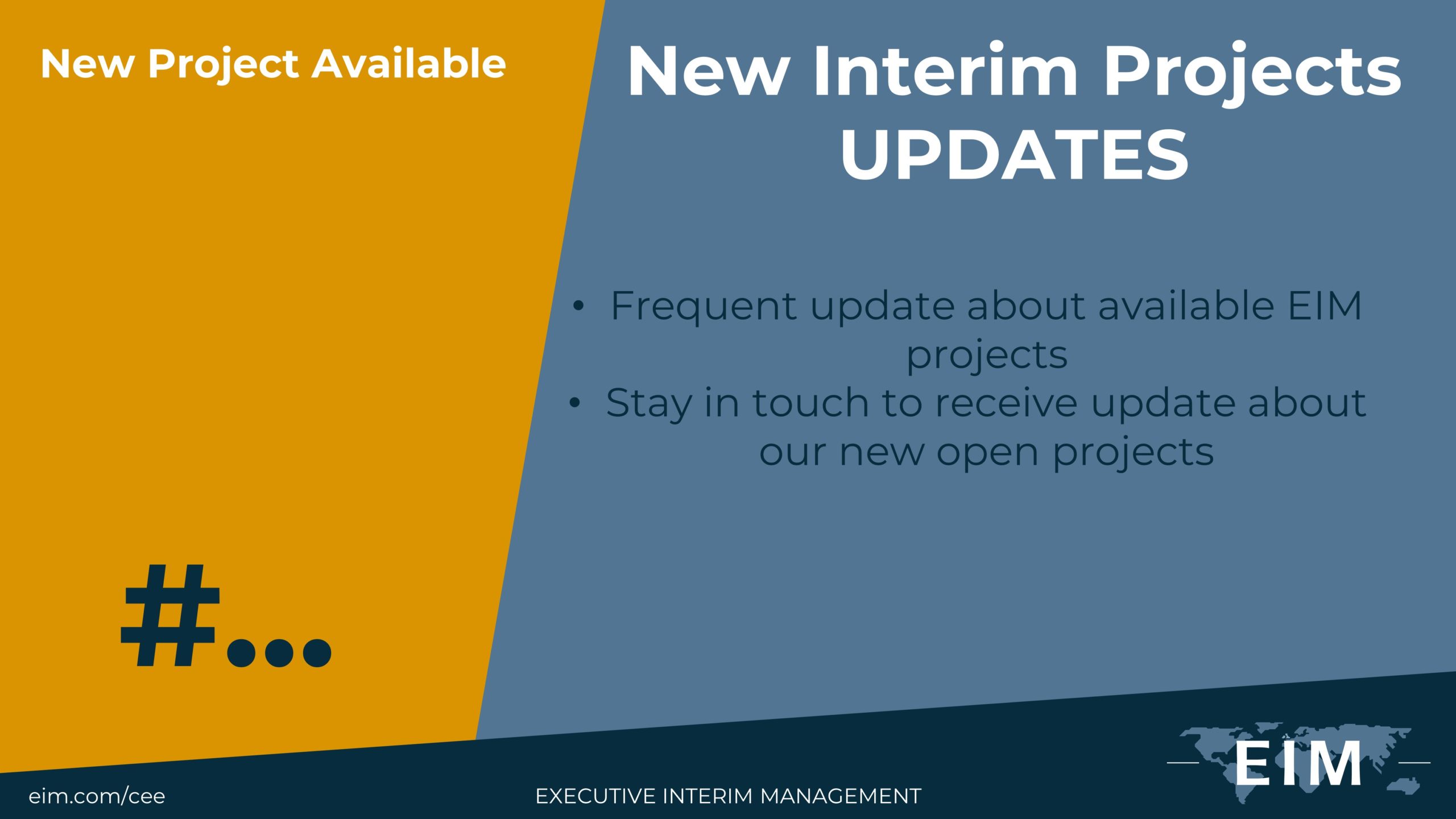 EIM Interim Missions | EIM Interim Projects | Open Interim Projects